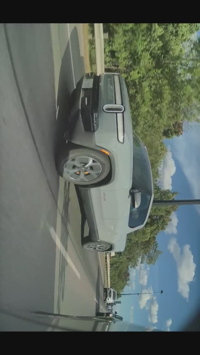 Ривиан Электричка. Мужик едет на Дачу.