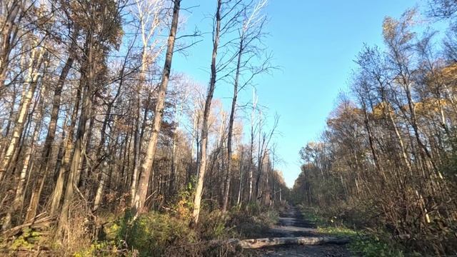 Бетонка тудей (октябрь 2024)