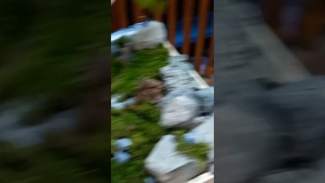 Поделки из овощей своими руками.