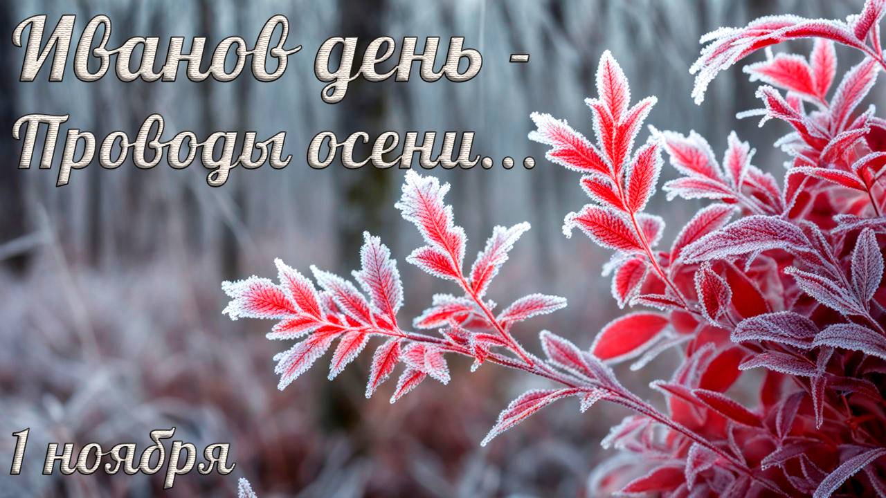 1 ноября Иванов день Проводы осени, Ноябрь явился со снежком,развесил бахрому на листьях.