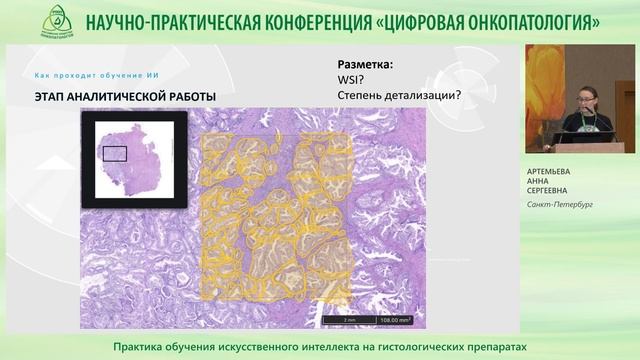 Практика обучения искусственного интеллекта на гистологических препаратах