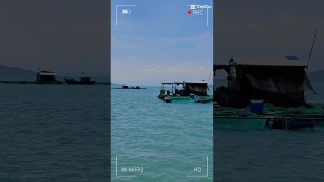 Nha Trang orchid island sea #travel #sailing #beach #nature #summer #capcut