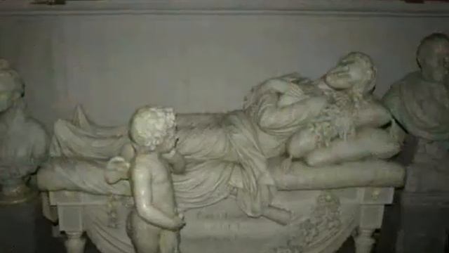 Квiтка на каменi