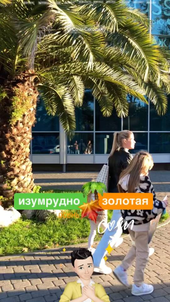 СОЧИ 🍁🌴 Осень изумрудно-золотая #красота