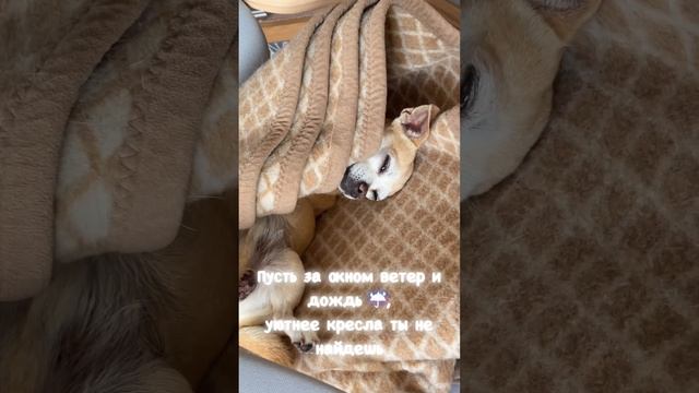 ЖИТЬ ХОРОШО ! А ХОРОШО ЖИТЬ ЕЩЁ ЛУЧШЕ