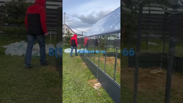 Английская теплица Статус прозрачная