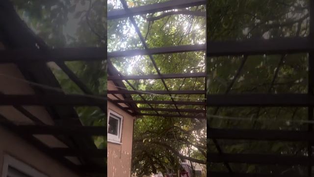 Навес с рифленым монолитным поликарбонатом