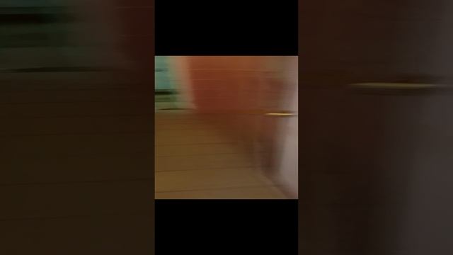 20240920 Санаторий Тесь Солнечный. Сибирь.