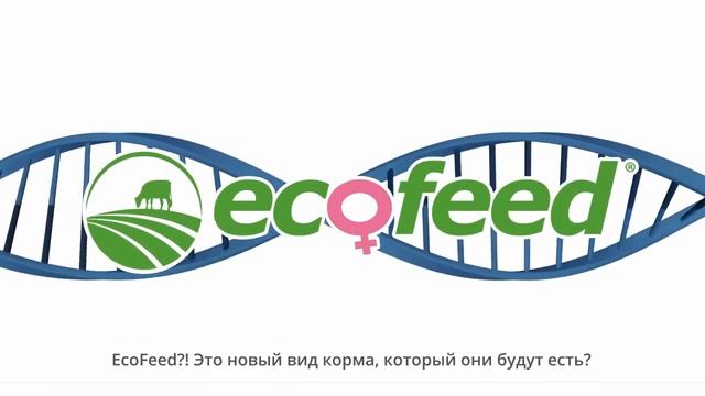 ИНДЕКС ECOFEED! ЭФФЕКТИВНАЯ КОНВЕРСИЯ КОРМА!
