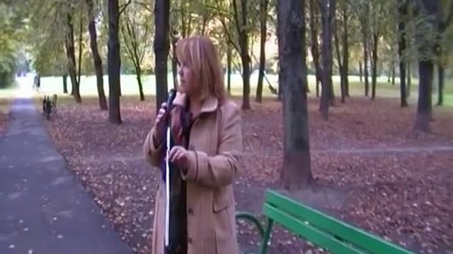 осень(кавер-версия)