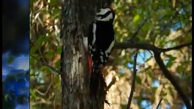 Релакс, весна