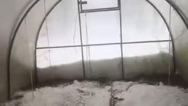 Усиленная теплица от завода Статус