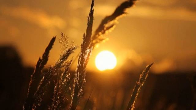 Память Земли