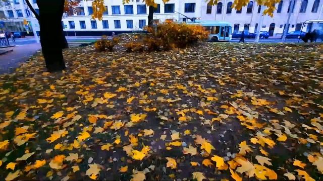 Перелетные ангелы