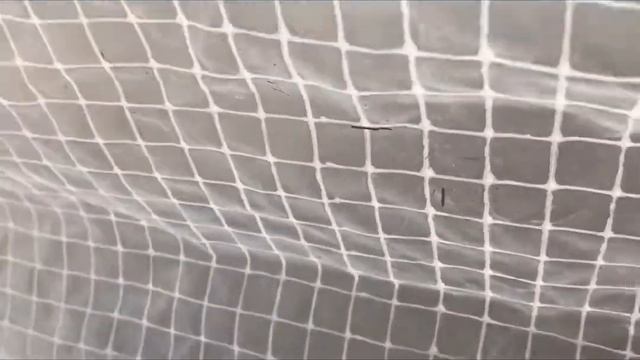 Умная теплица New