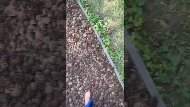 Воспоминание о лете.