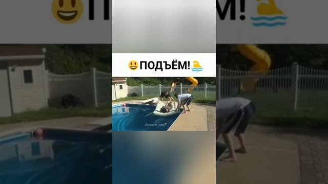 подборка из тик тока тик-ток #мем #бред # надеюсьзалетит