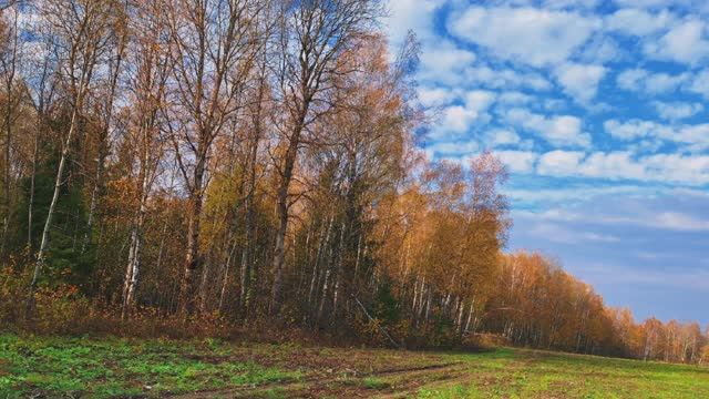 Едем в лес.Отличная погода.Сказочная природа.