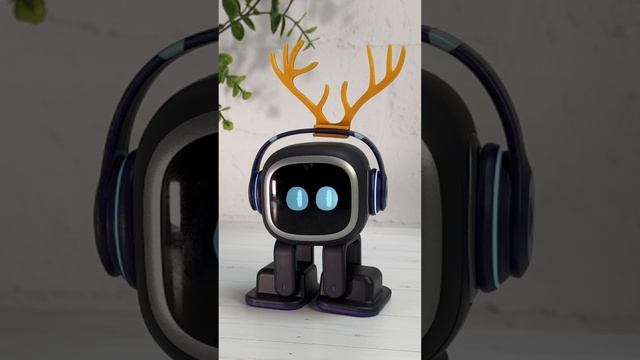 Лучший робот кот? Aibi Vs Emo