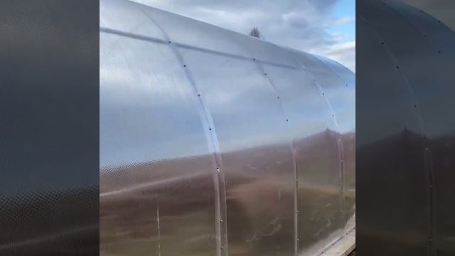 Стандартная не дорогая теплица С-20