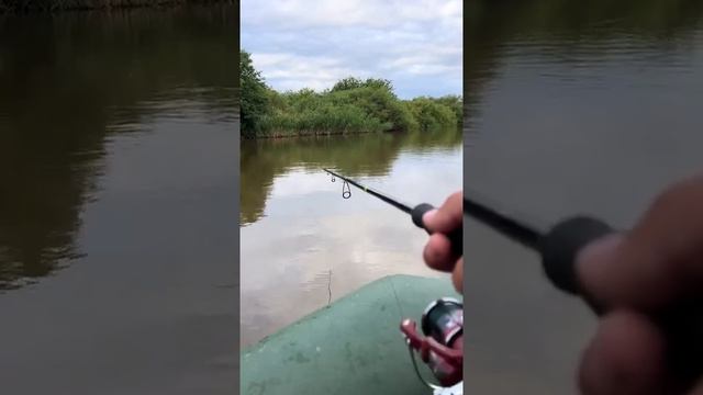 Поклевка щуки...