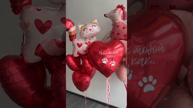 Гелиевые шары с кошечкой и пуделем для влюбленных   #shorts