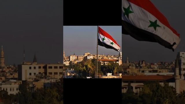 Вербовка Эли Коэна: как готовили шпиона Моссада? #разведка #история #шпион #вербовка