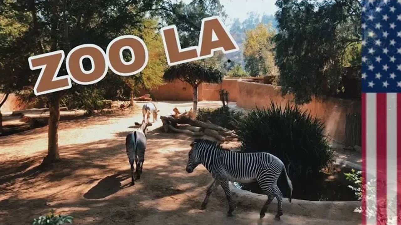 США Зоопарк Лос-Анжелес ZOO LA CA