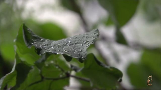 Как не погубить свои благие начинания