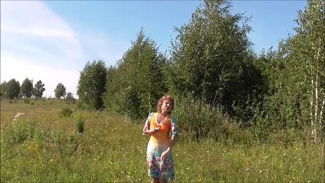 "Журавушки".  Слова Ольги Клименко, музыка Евгении Шутовой, аранжировка Павла Городилова.