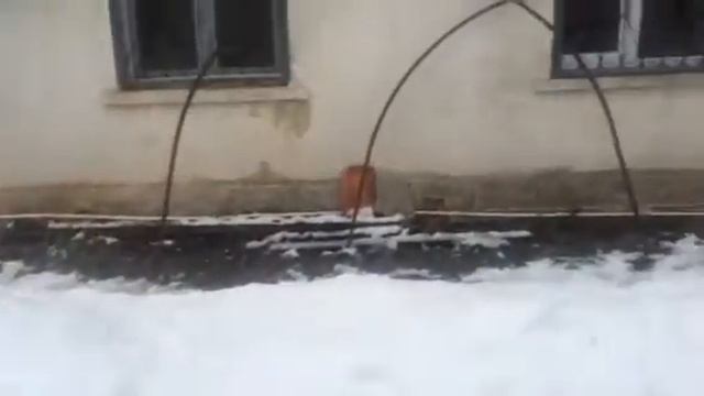 Отзыв о усиленной теплицы