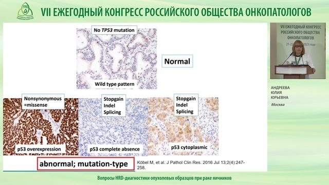 Вопросы HRD-диагностики опухолевых образцов при раке яичников