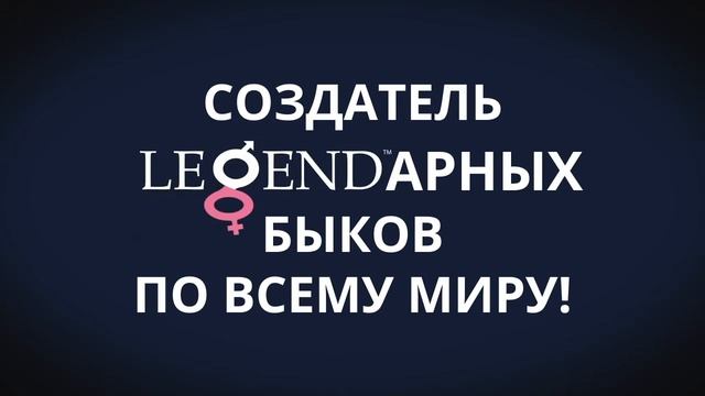 CHARL - ПРОВЕРЕННЫЙ БЫК №1‼