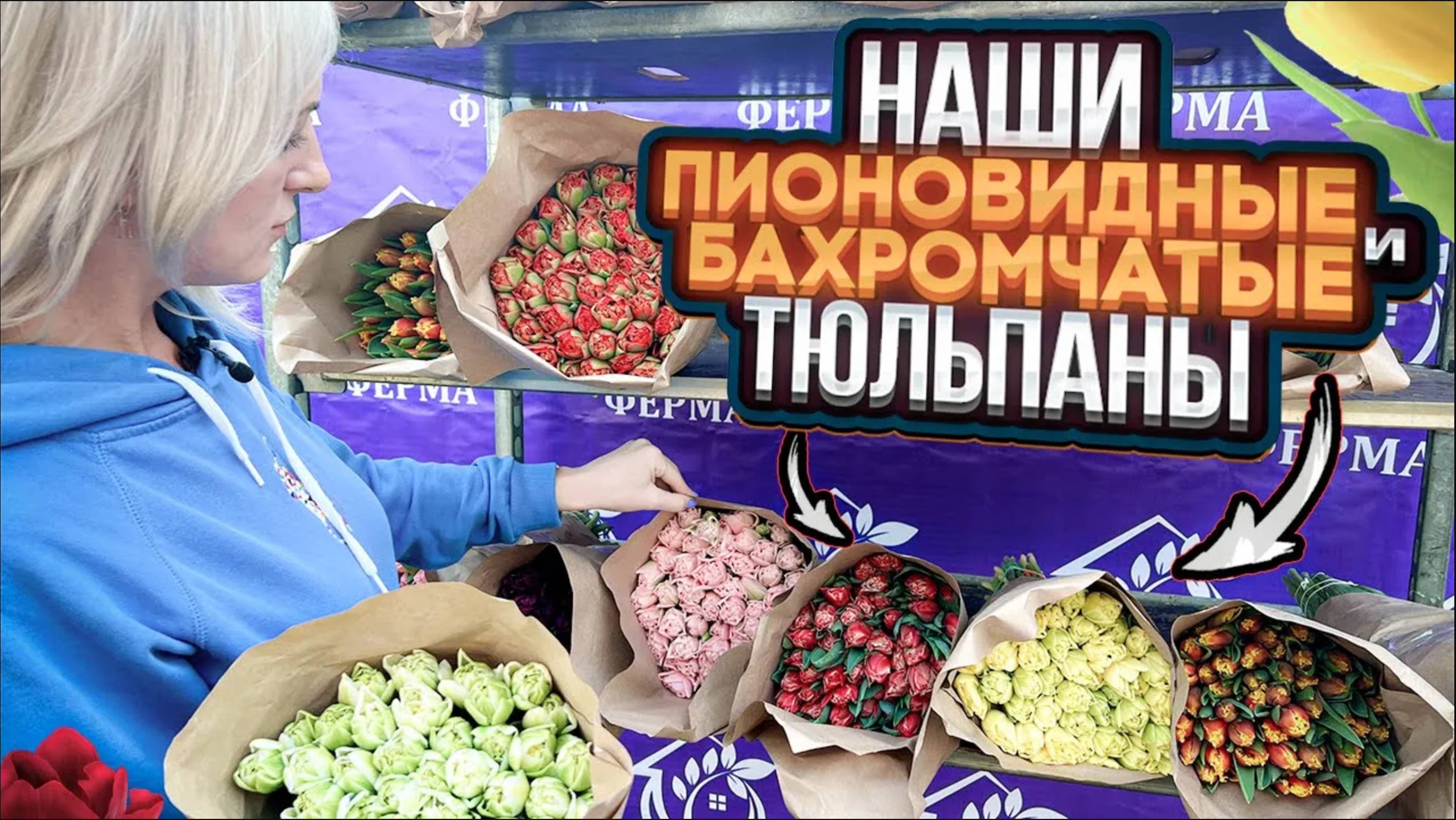 Сорта бахромчатых и пионовидных тюльпанов