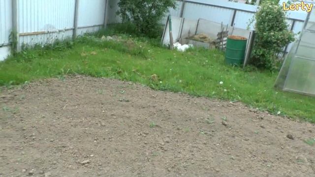 Дачные выходные. Конец мая.