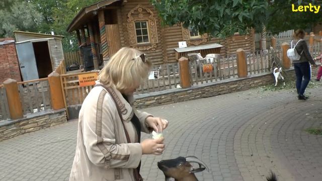 Питер. Зоопарк. Туристический красный автобус.