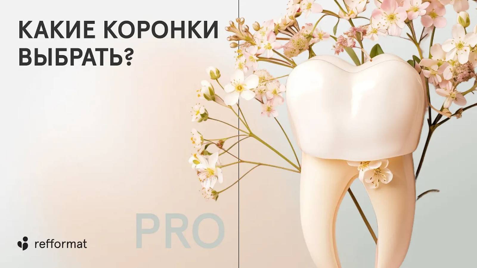 👋 Какие коронки выбрать?