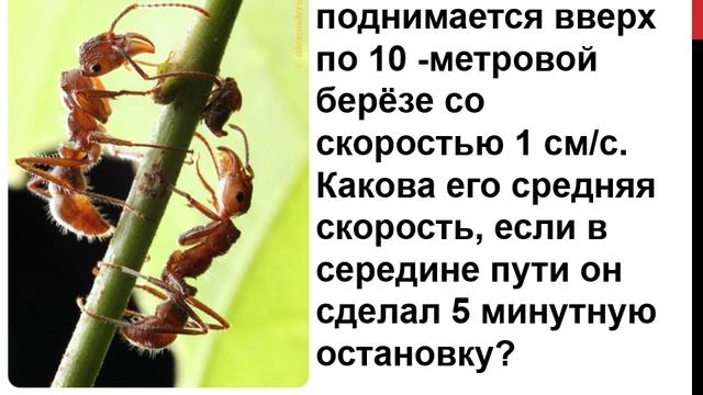ДКР по теме  СРЕДНЯЯ СКОРОСТЬ 7 КЛАСС