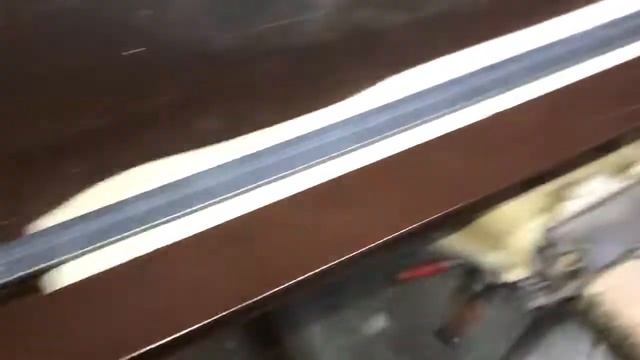 Запирающий механизм Удав