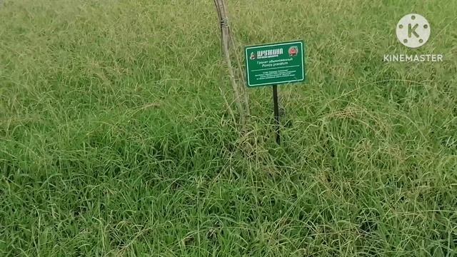 Адлер. Первые 2 дня.