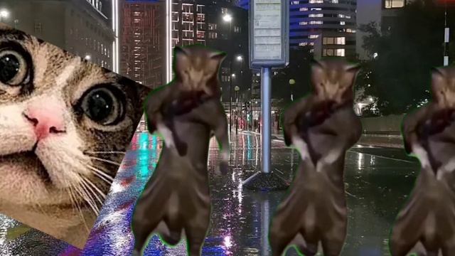 Коты против мемов, 2 серия. Боевые коты.