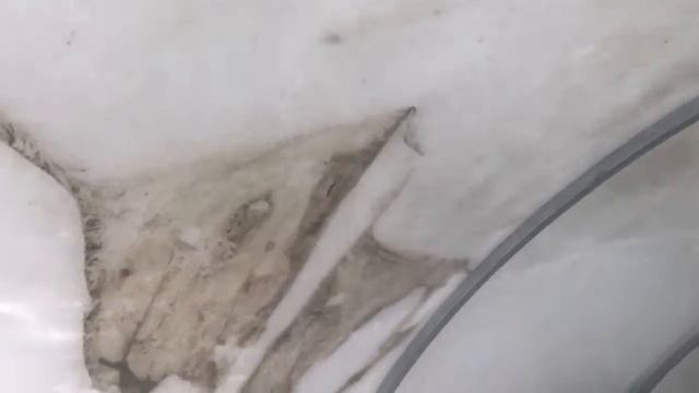 Отзыв о теплицы от завода Статус