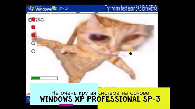 Windows СТАС / Что это за (самое мягкое слово) ДРЯНЬ? - The Tech 1