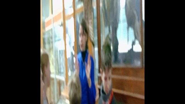 Музей зоологии