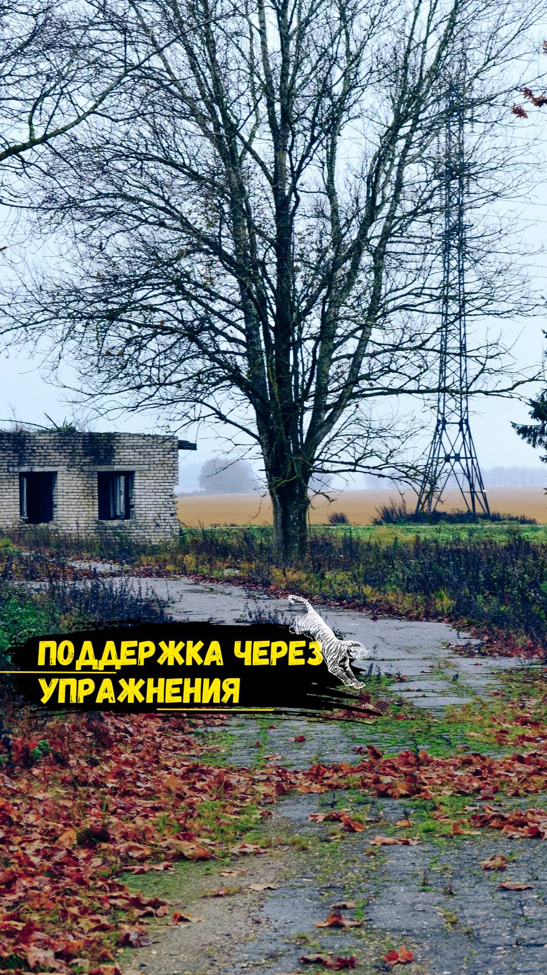 Поддержка через упражнения.