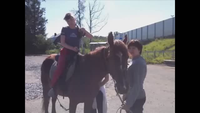 данные мини - ролик из фотографий жизненной озвучена через программу.