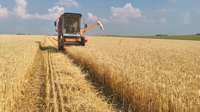 Уборка озимых - 2021 - 3
