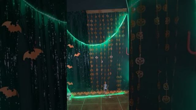 Halloween 🎃 Live!