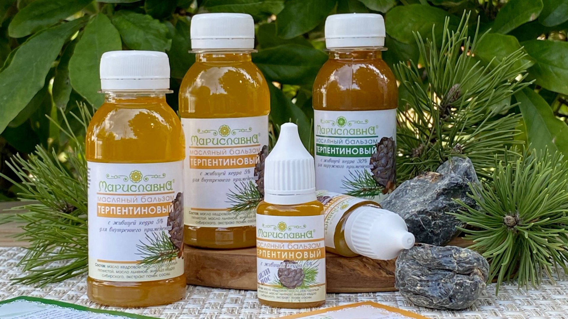 Живица кедра - использование в фитотерапии