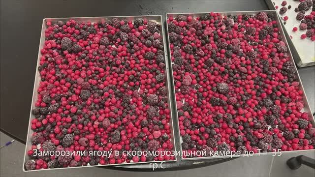 Сублимированная ягода